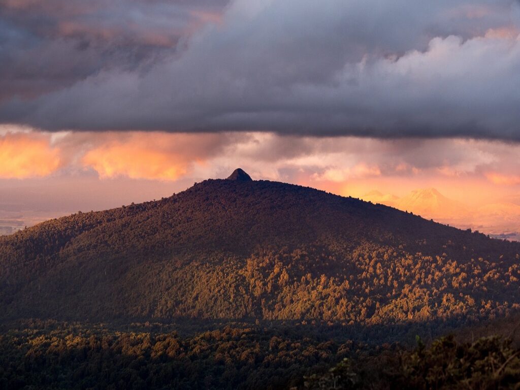 Raukawa – Raukawa Charitable Trust Website